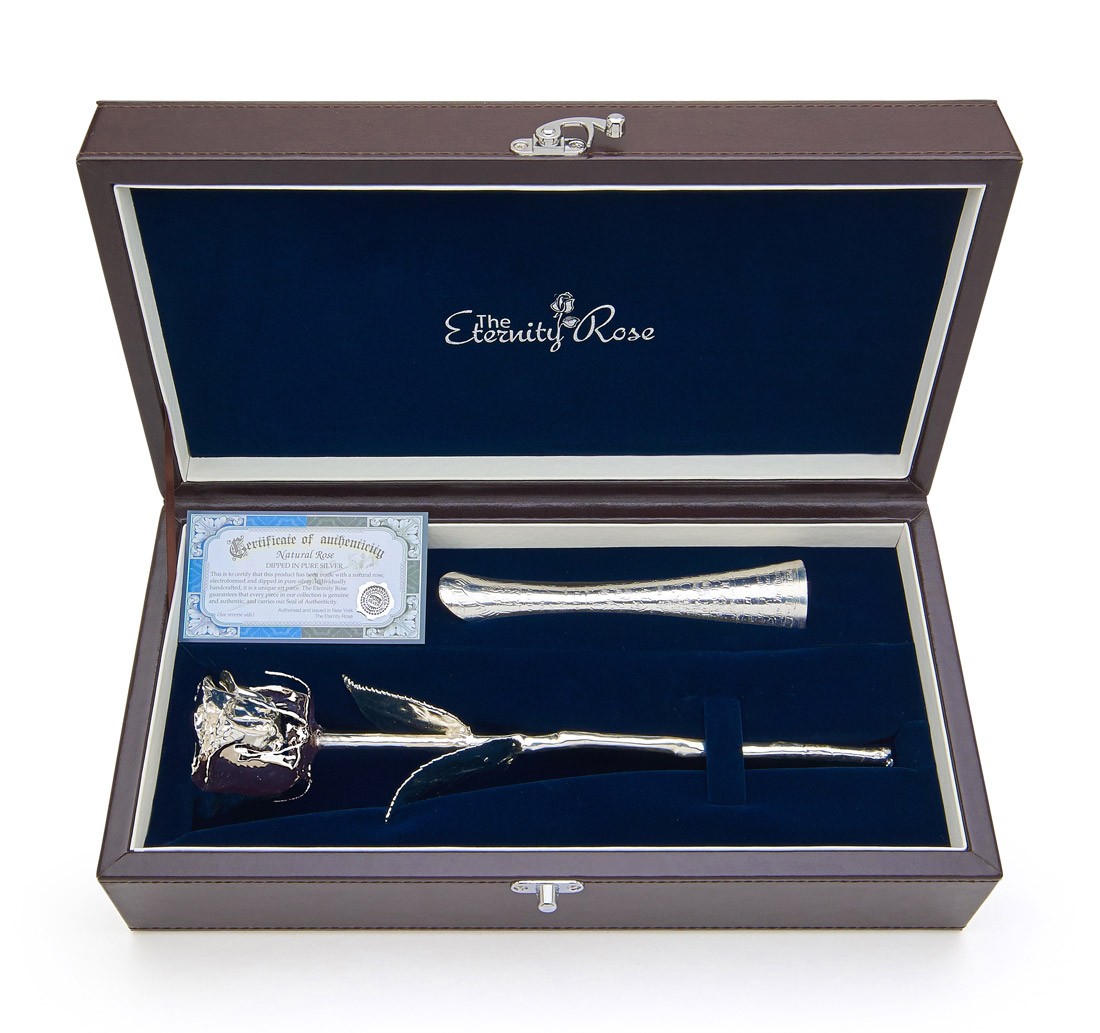 Gifts for Her Silver-Dipped Rose & Vase Set